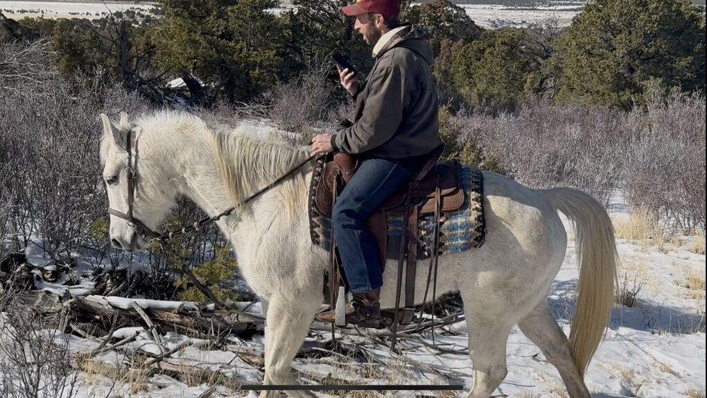 Fun Ranch Gelding! | Horses | KSL Classifieds