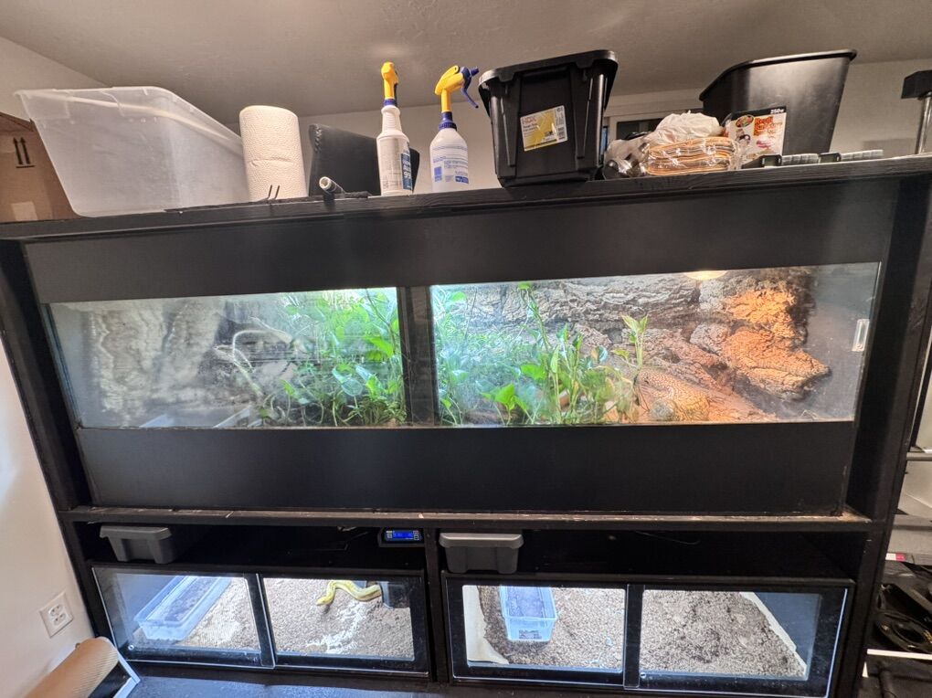8'x3'x3' PVC Reptile Enclosure | Pet Equipment and Supplies | KSL ...