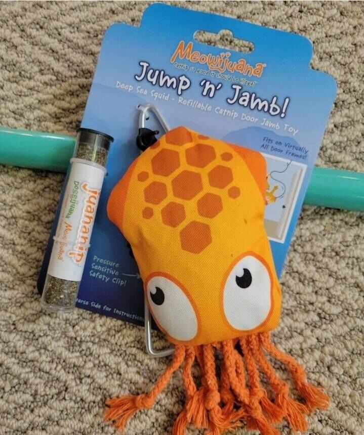 Meowijuana Cat Nip Toys - Assortment | Pet Equipment and Supplies | KSL ...