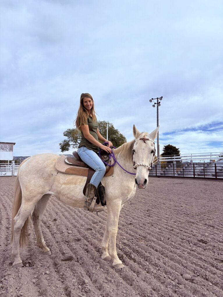 Two Horses For Lease | Horses | KSL Classifieds