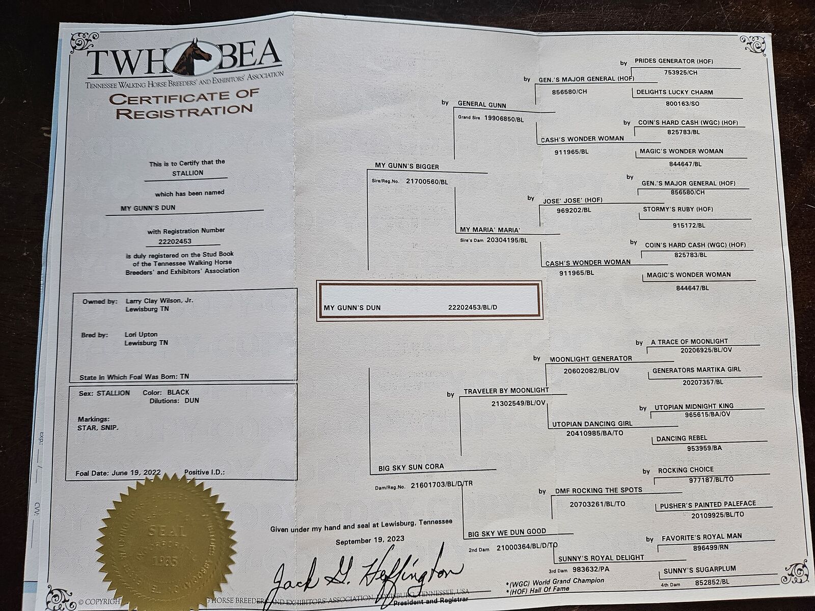 Grulla Tennessee walker | Horses, Studs/Breeding | KSL Classifieds