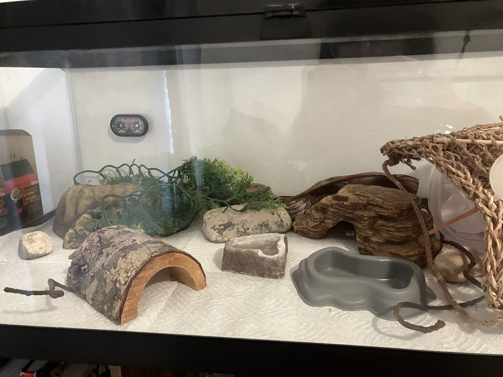 Leopard Gecko and supplies | Reptiles | KSL Classifieds