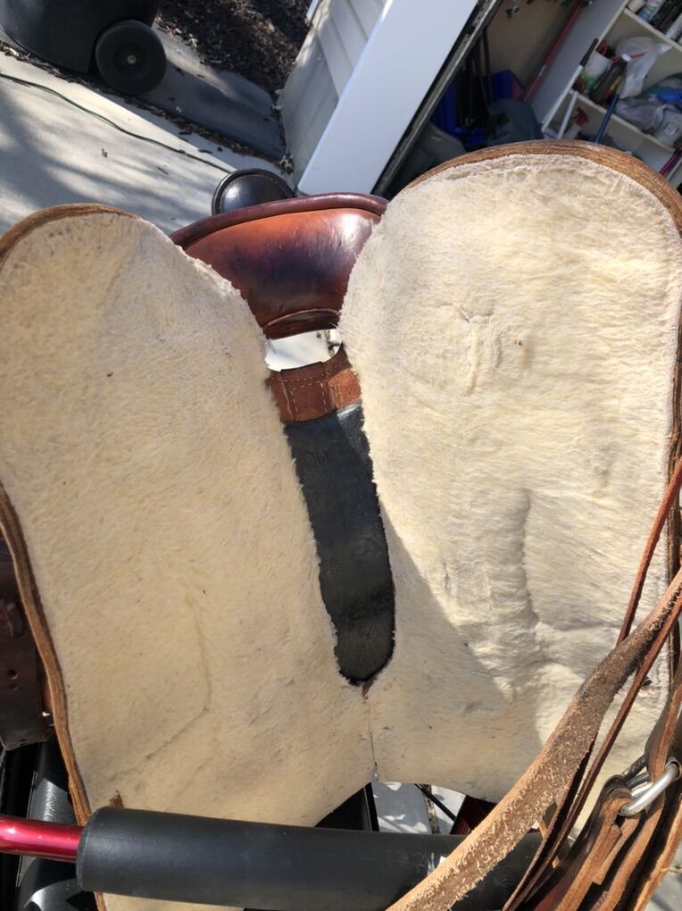 Saddle | Horses, Saddles and Tack | KSL Classifieds