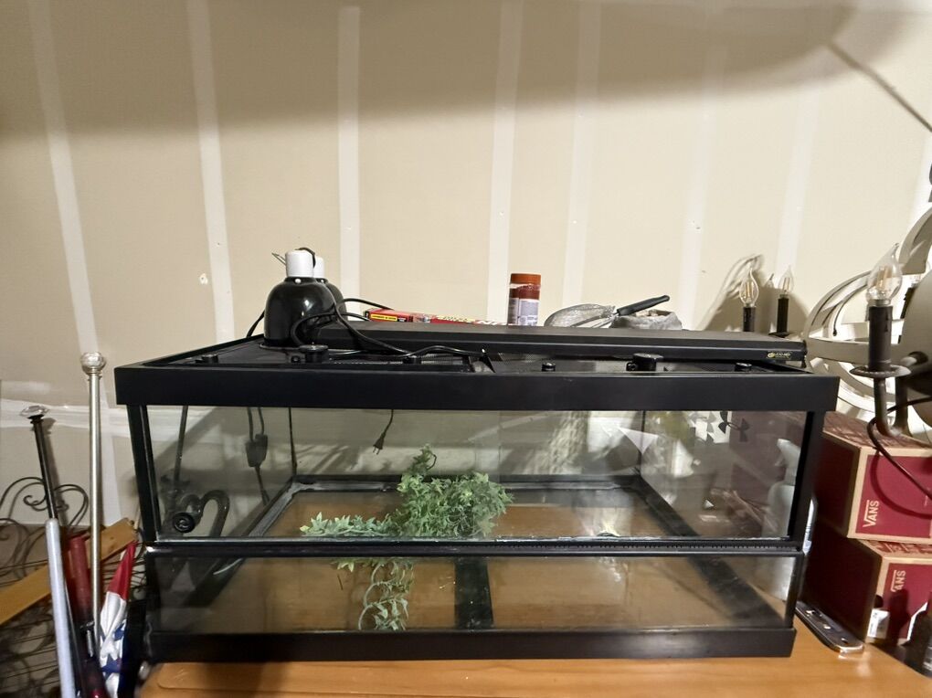 40 Gallon Reptile Aquarium / Terrarium | Pet Equipment and Supplies ...