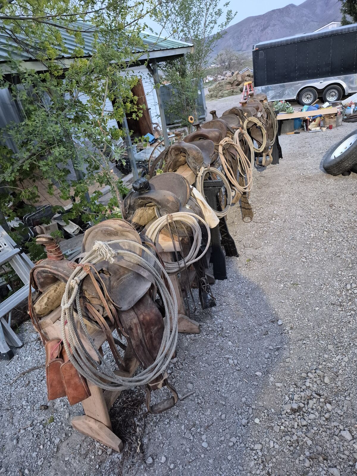 Old Saddles With Lariates For Decoratio… | General | ksl.com