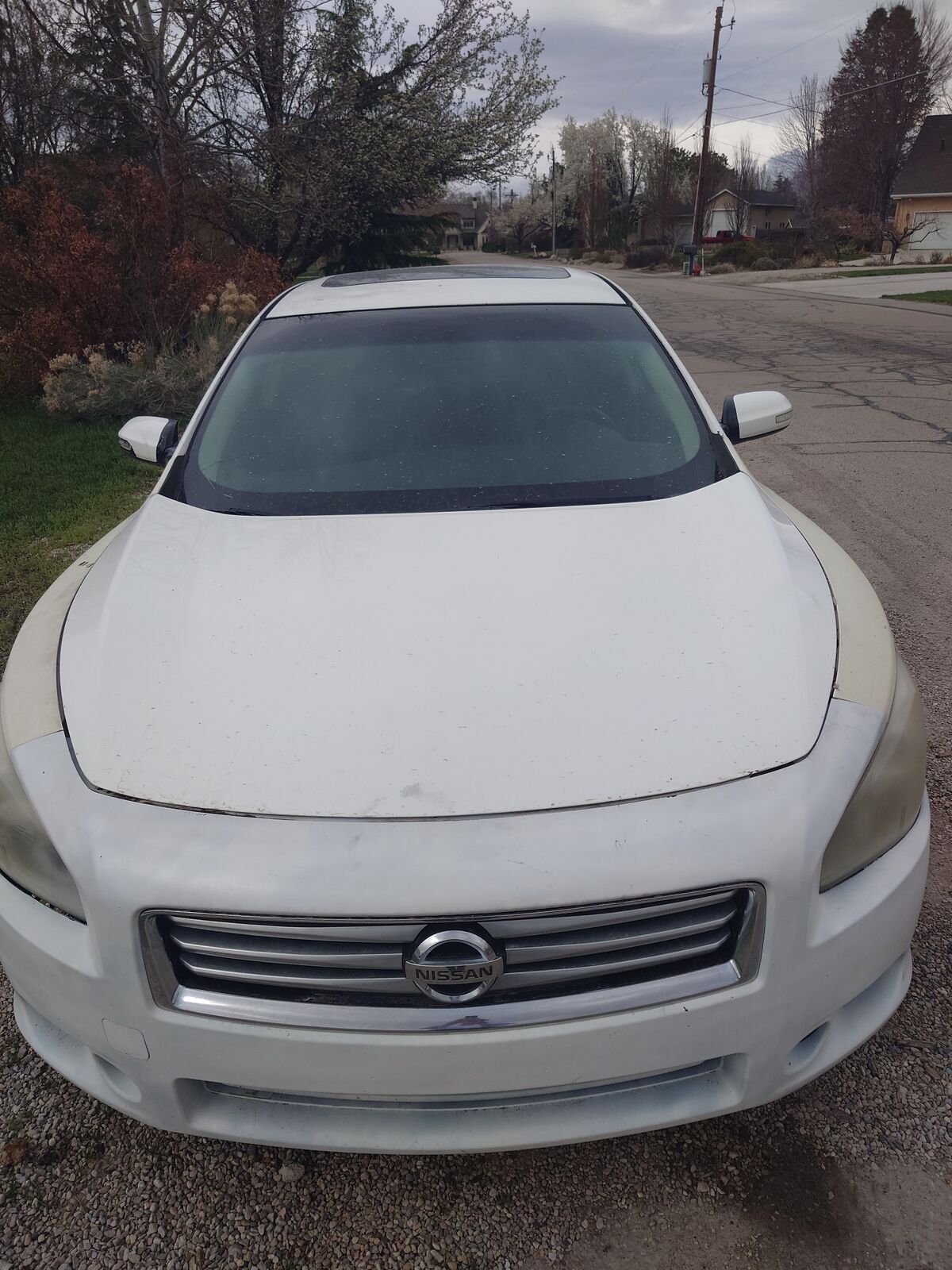 2013 Nissan Maxima 3.5 SV in Draper, UT | KSL Cars