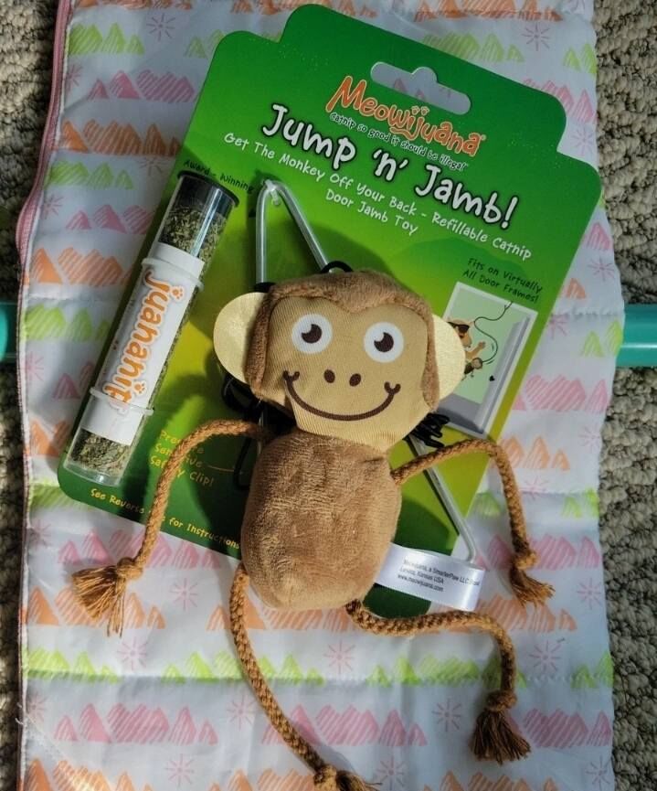 Meowijuana Cat Nip Toys - Assortment | Pet Equipment and Supplies | KSL ...