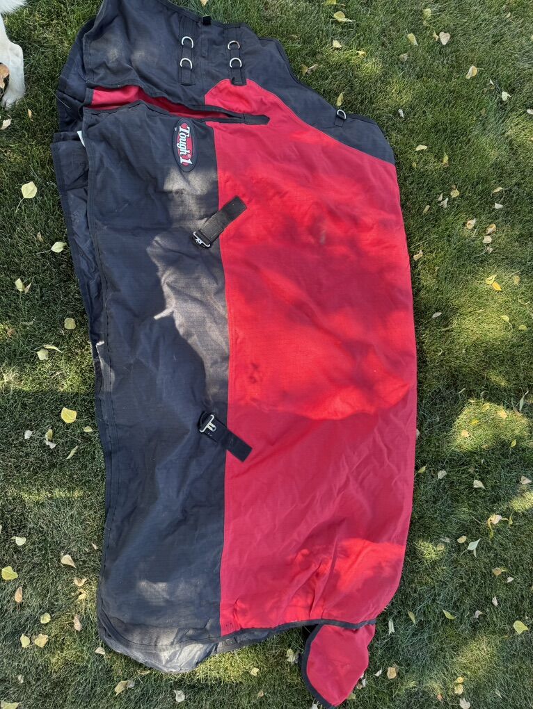 Horse Blanket - 81 Inch | Horses, Saddles and Tack | KSL Classifieds