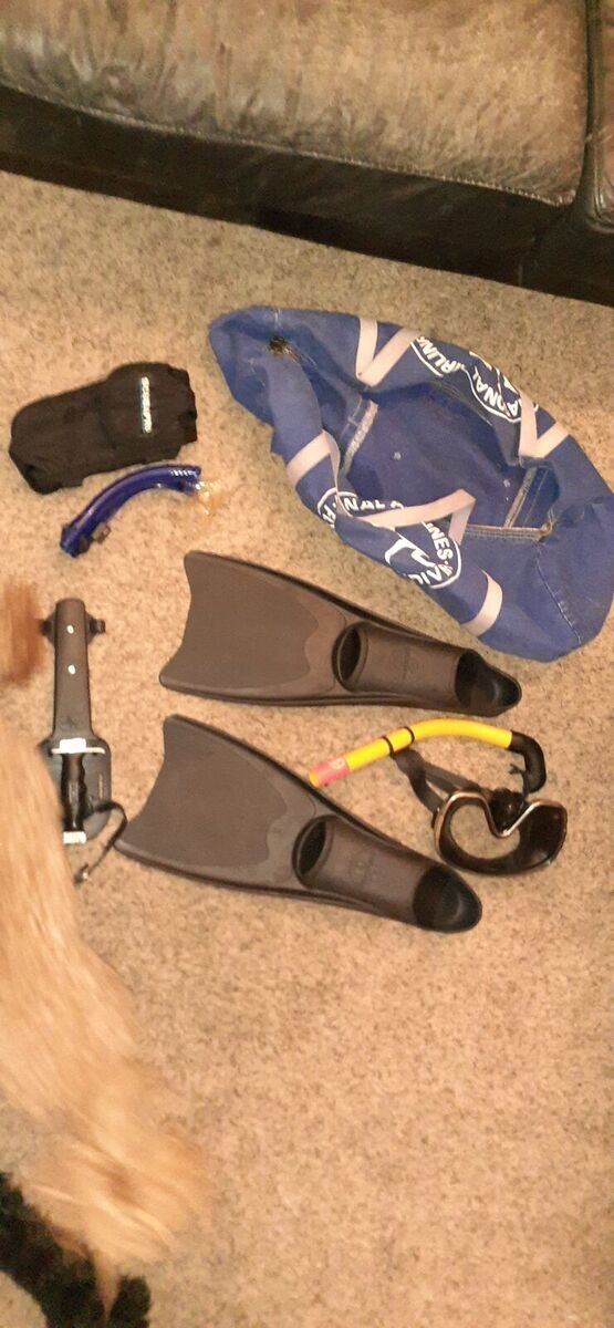 Scuba Gear | Wetsuits | KSL Classifieds