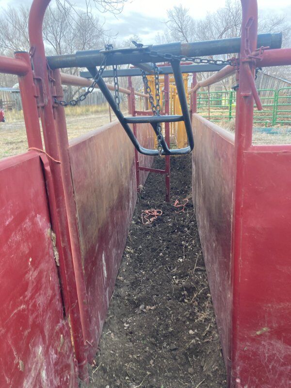 Tarter Sweep Tub and alley | Livestock Equipment and Supply | KSL ...
