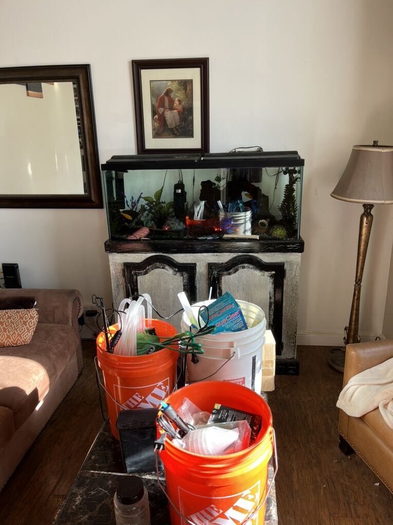 Fish Tank | Pet Equipment and Supplies | KSL Classifieds
