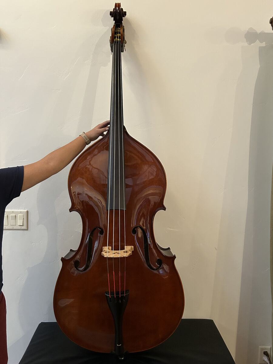 German Bass, hand-carved--violin corners--Peter Paul Prier--1992 ...