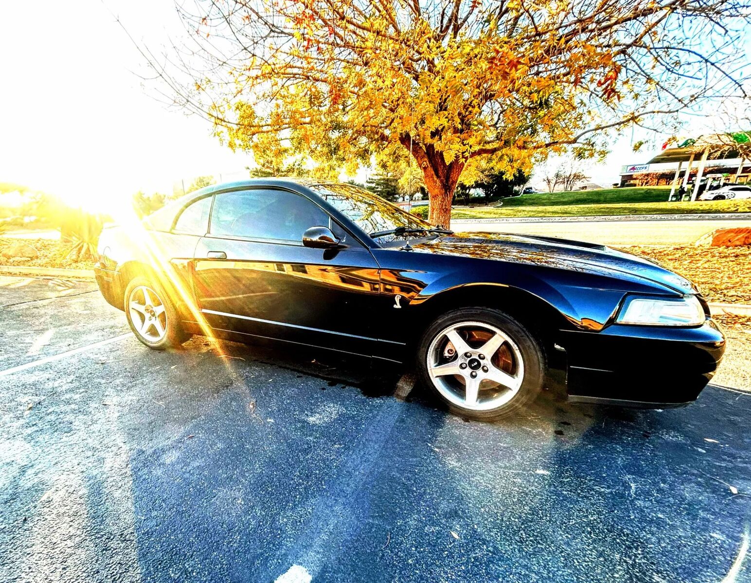 2003 Ford Mustang SVT Cobra SVT in Hurricane, UT | KSL Cars