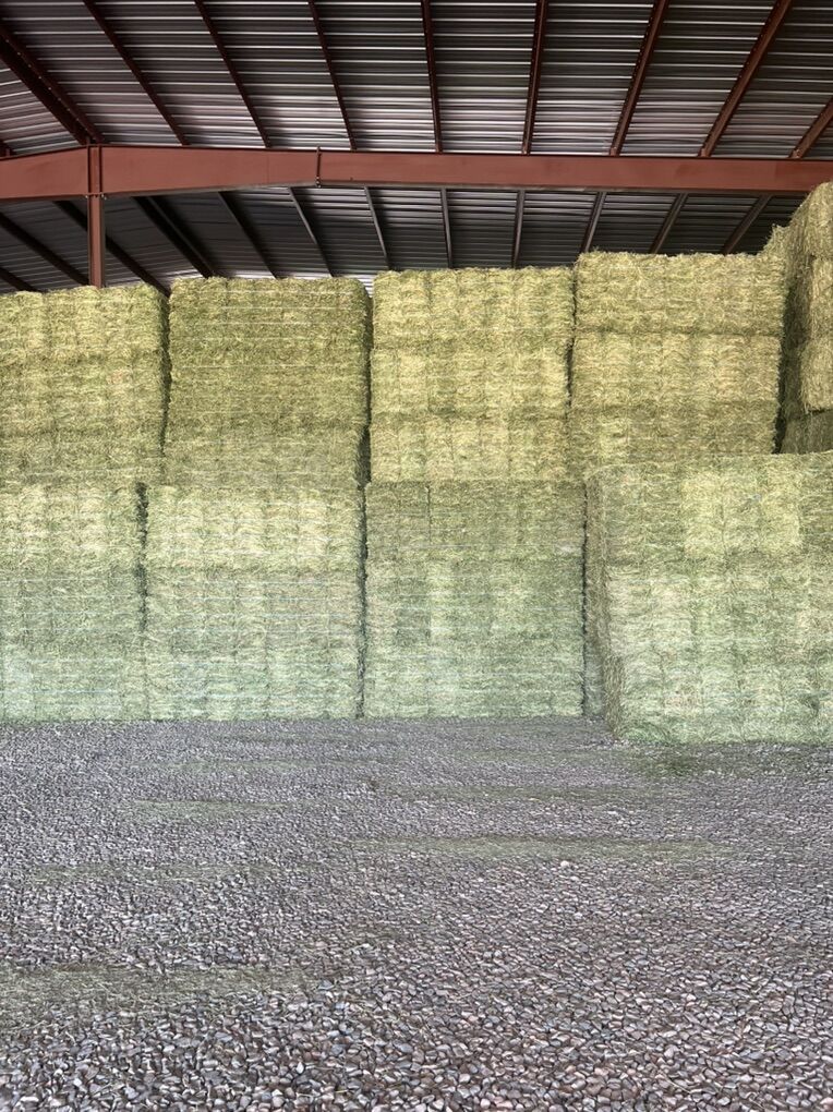 Premium, 21 Small Bale Bundle, 1st crop alfalfa SALE | Horses/Livestock ...