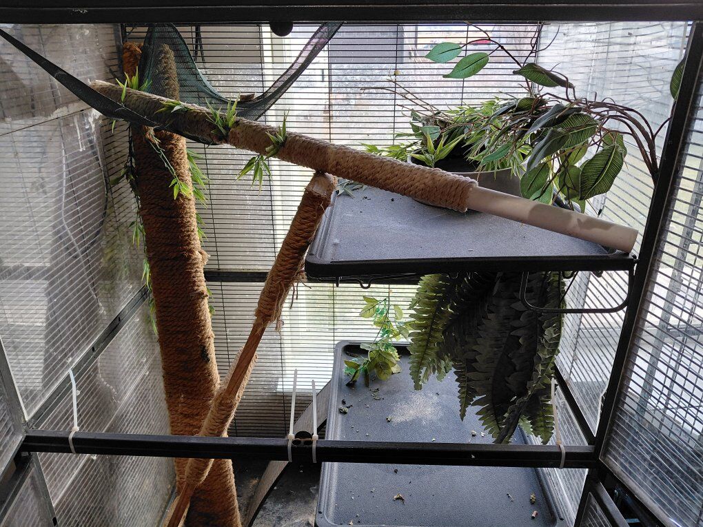 REPTILE / IGUANA CAGE | Pet Equipment and Supplies | KSL Classifieds