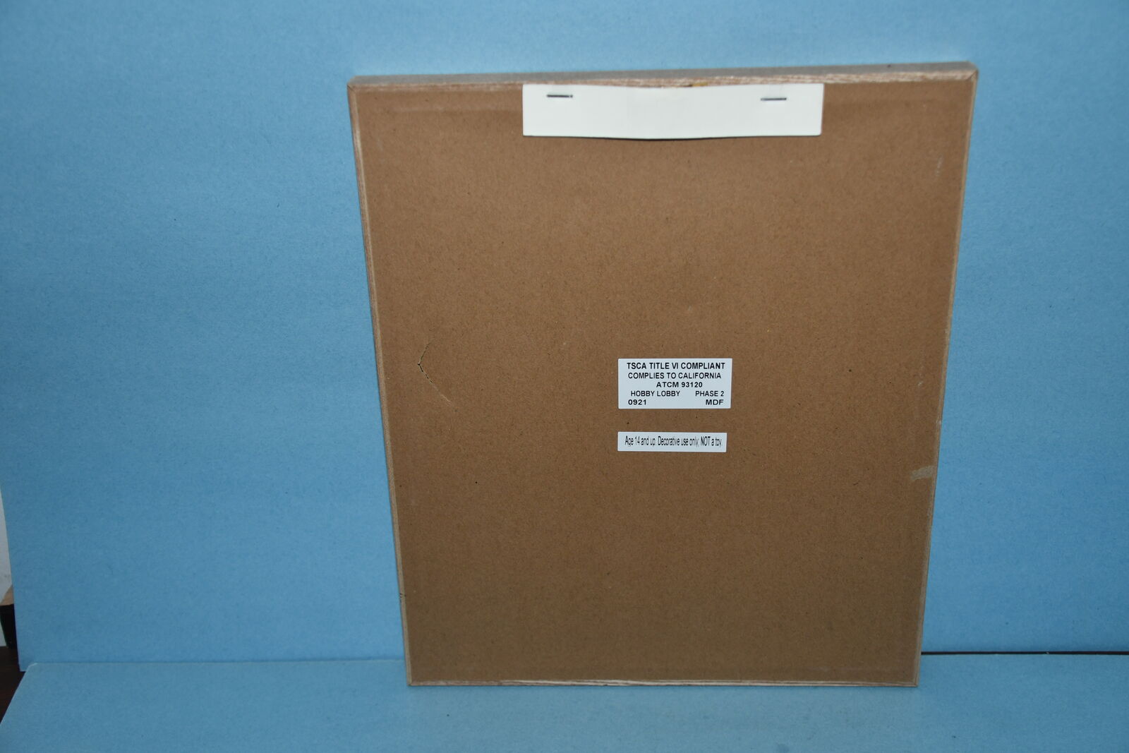 2 HOBBY HOBBY PICTURES ~ NEUTRAL TONES ~ 12" x 10" ~ WOOD FRAMES ~ BOTH ...