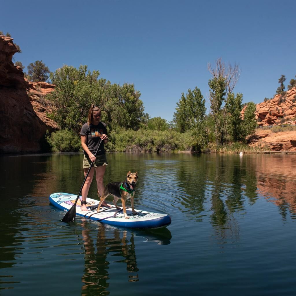 Hello my name is Dana | Dogs | KSL Classifieds