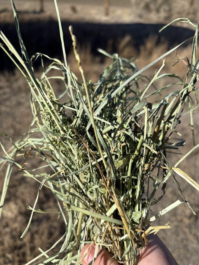 Grass/alfalfa 4x4 Bales | Horses/Livestock, Hay and Bedding | KSL ...