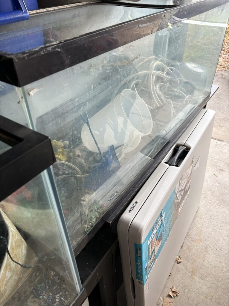 155 Gallon fish Tank | Fish | KSL Classifieds