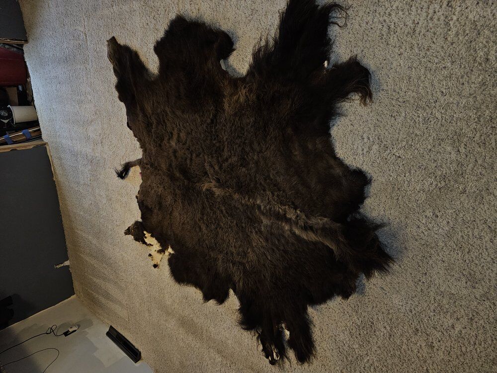 Buffalo Hide | Skins and Taxidermy Mounts | KSL Classifieds