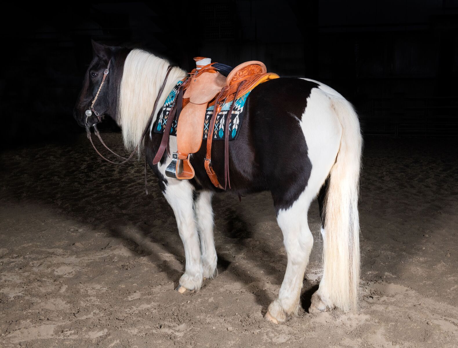 SMB Horse Sale & Expo | Horses | KSL Classifieds