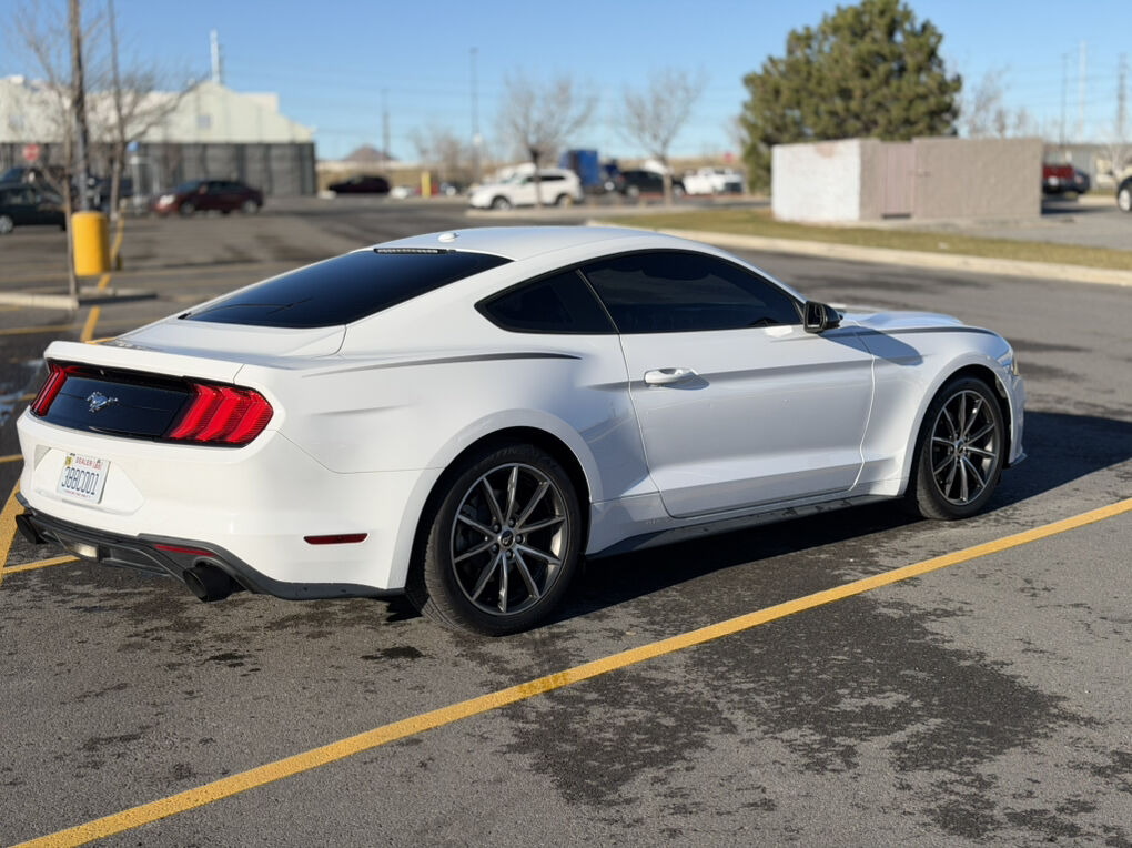 2019 Ford Mustang EcoBoost in West Jordan, UT | KSL Cars