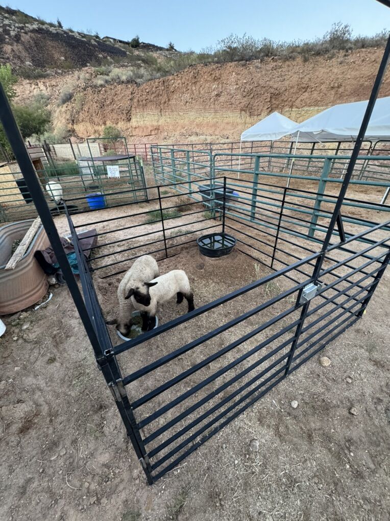Small Animal Pen | Livestock Equipment and Supply | KSL Classifieds