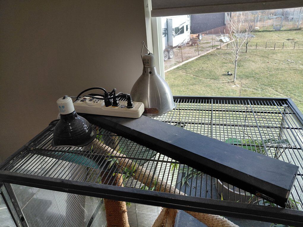 REPTILE / IGUANA CAGE | Pet Equipment and Supplies | KSL Classifieds