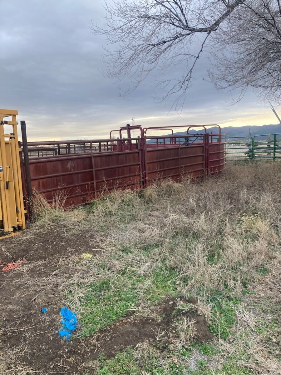 Tarter Sweep Tub and alley | Livestock Equipment and Supply | KSL ...