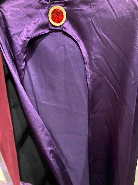 Hocus Pocus SARAH SANDERSON (Cape and Wig included) $50 | Costumes ...