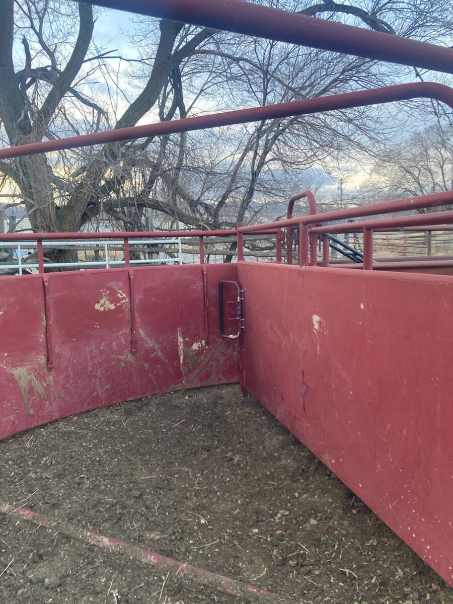 Tarter Sweep Tub and alley | Livestock Equipment and Supply | KSL ...