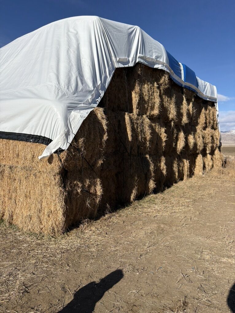 Grass/alfalfa 4x4 Bales | Horses/Livestock, Hay and Bedding | KSL ...
