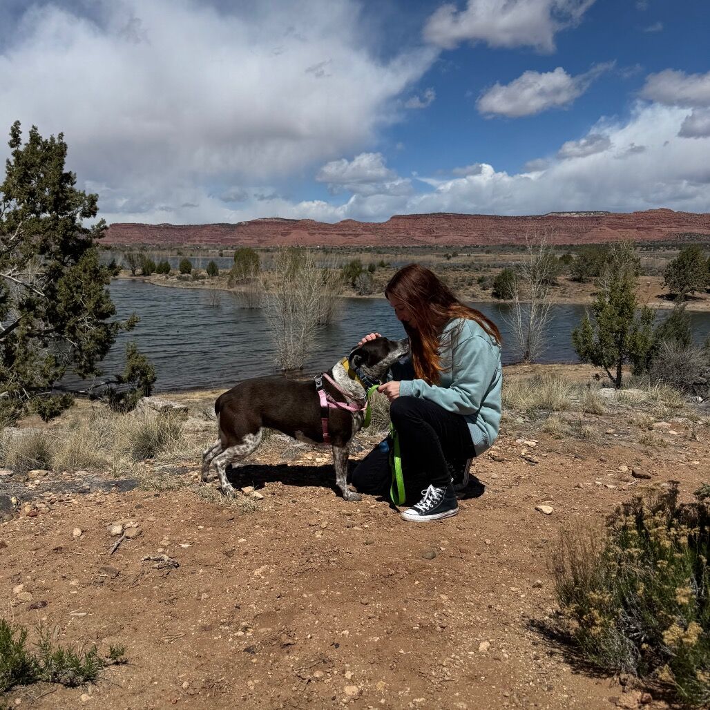 Hello my name is Didgeri | Dogs | KSL Classifieds