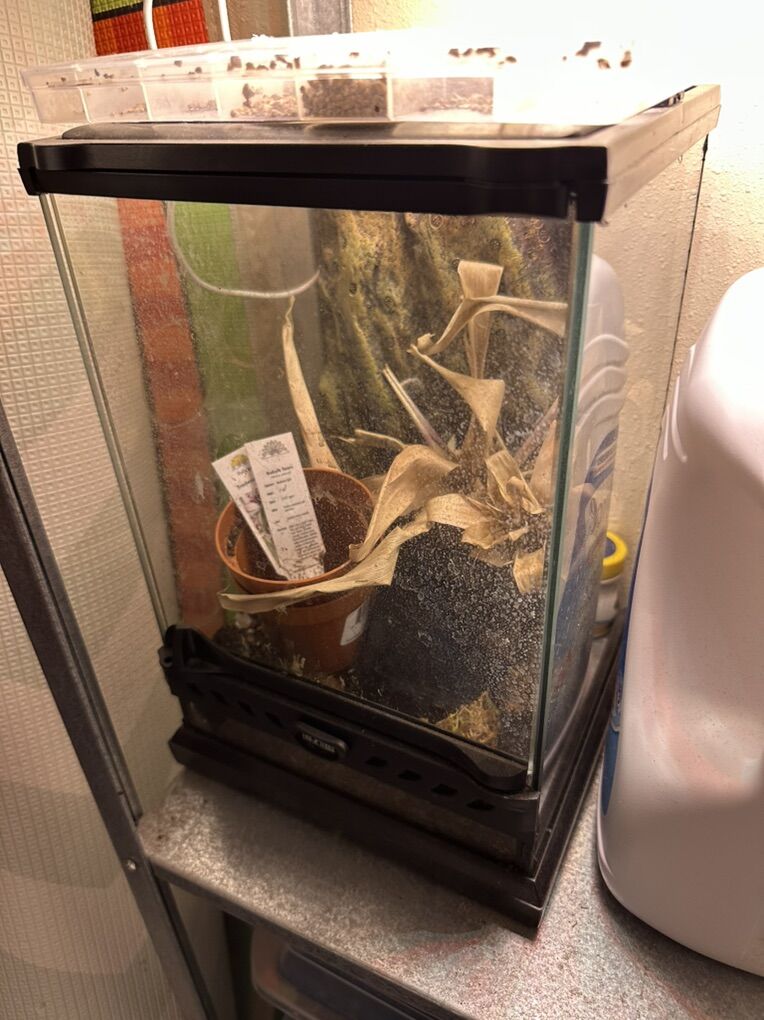 Reptile Terrarium | Pet Equipment and Supplies | KSL Classifieds
