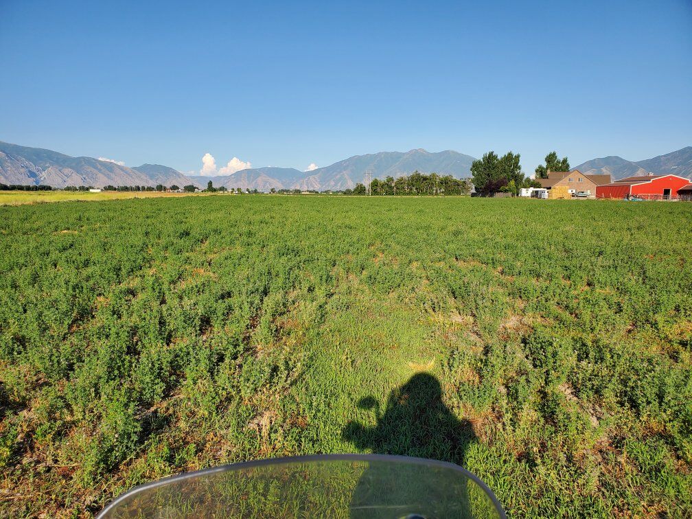 wanted: free clean fill dirt/ t… | Home and Garden | ksl.com