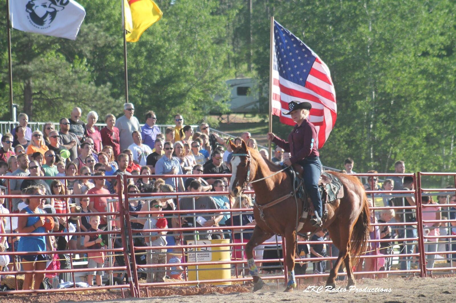 YOUTH BARREL & POLE DELUX****** | Horses | KSL Classifieds