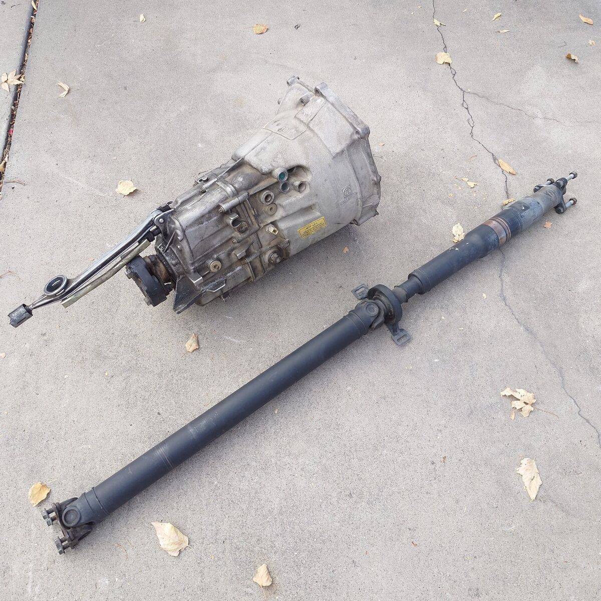 BMW ZF 5-Speed Manual Transmission Driveshaft | Powertrain ...