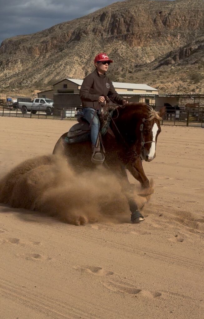 7 Yr Daughter of Pale Face Dunnit | Horses | KSL Classifieds