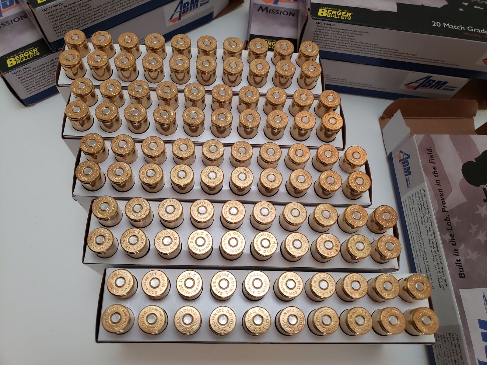 Applied Ballistics ABM .300 Norma Magnum Long Range Precision Match ...