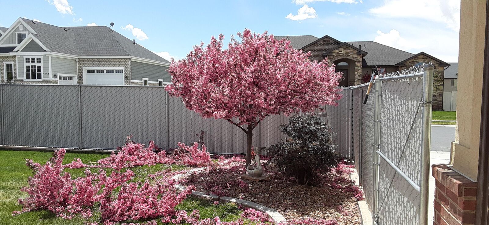 "YOUR TREES ARE MY CANVAS" *TREE TRIMMING*Odd Jobs | Landscape ...
