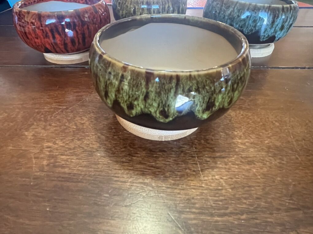 Small Ceramic Succulent Pots (set of 4) | Plants: Flowers And Trees ...