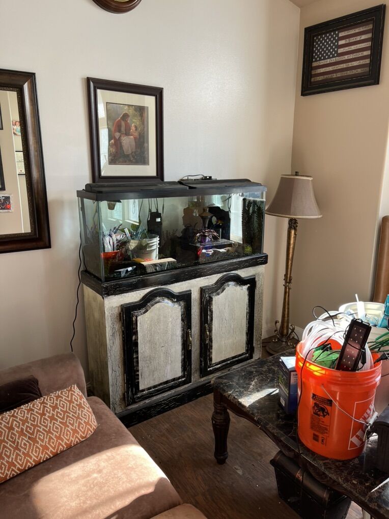 Fish Tank | Pet Equipment and Supplies | KSL Classifieds