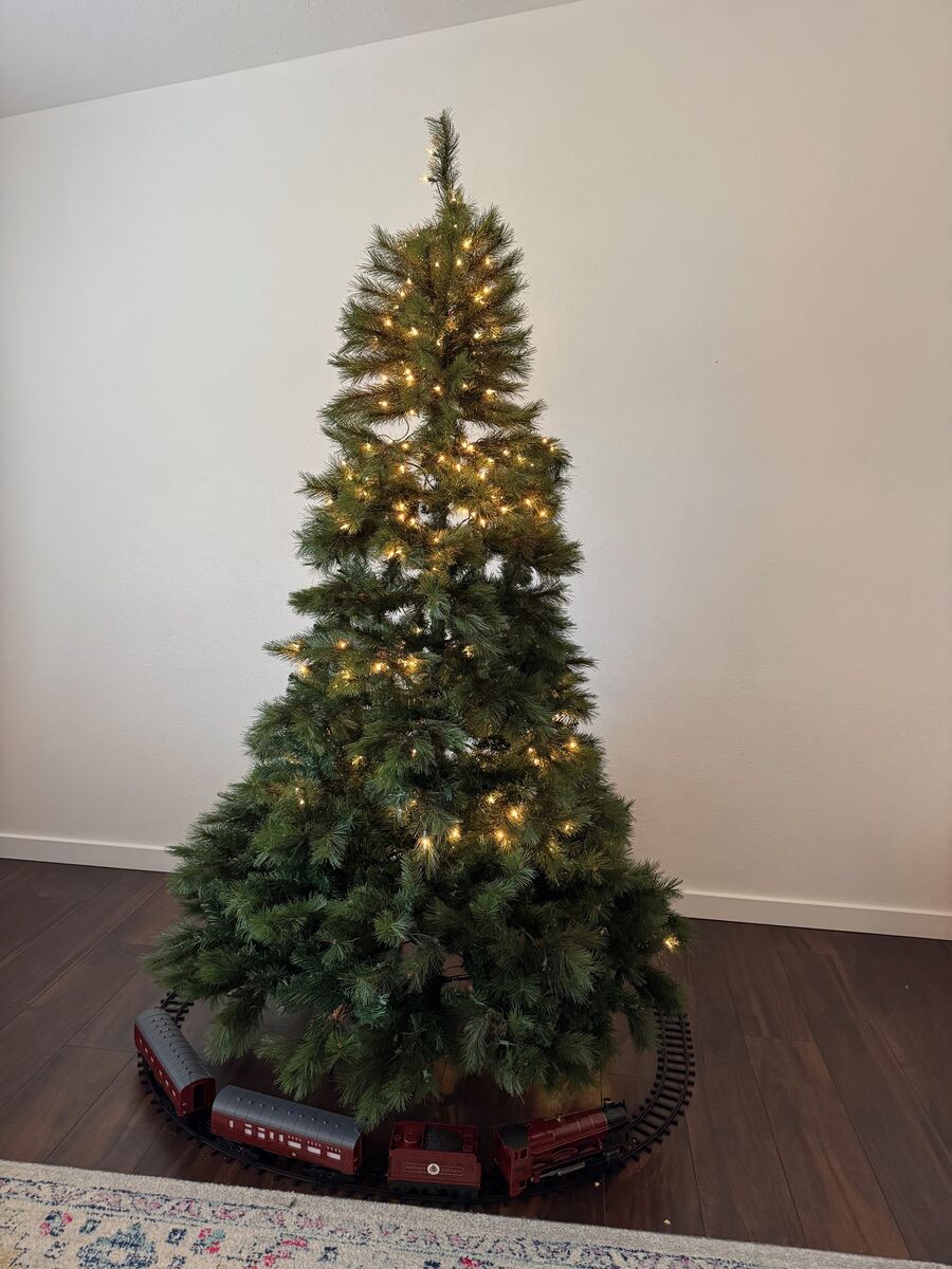 7.5ft Pre-Lit Christmas Tree, Livingston Spruce | $50 | Seasonal ...