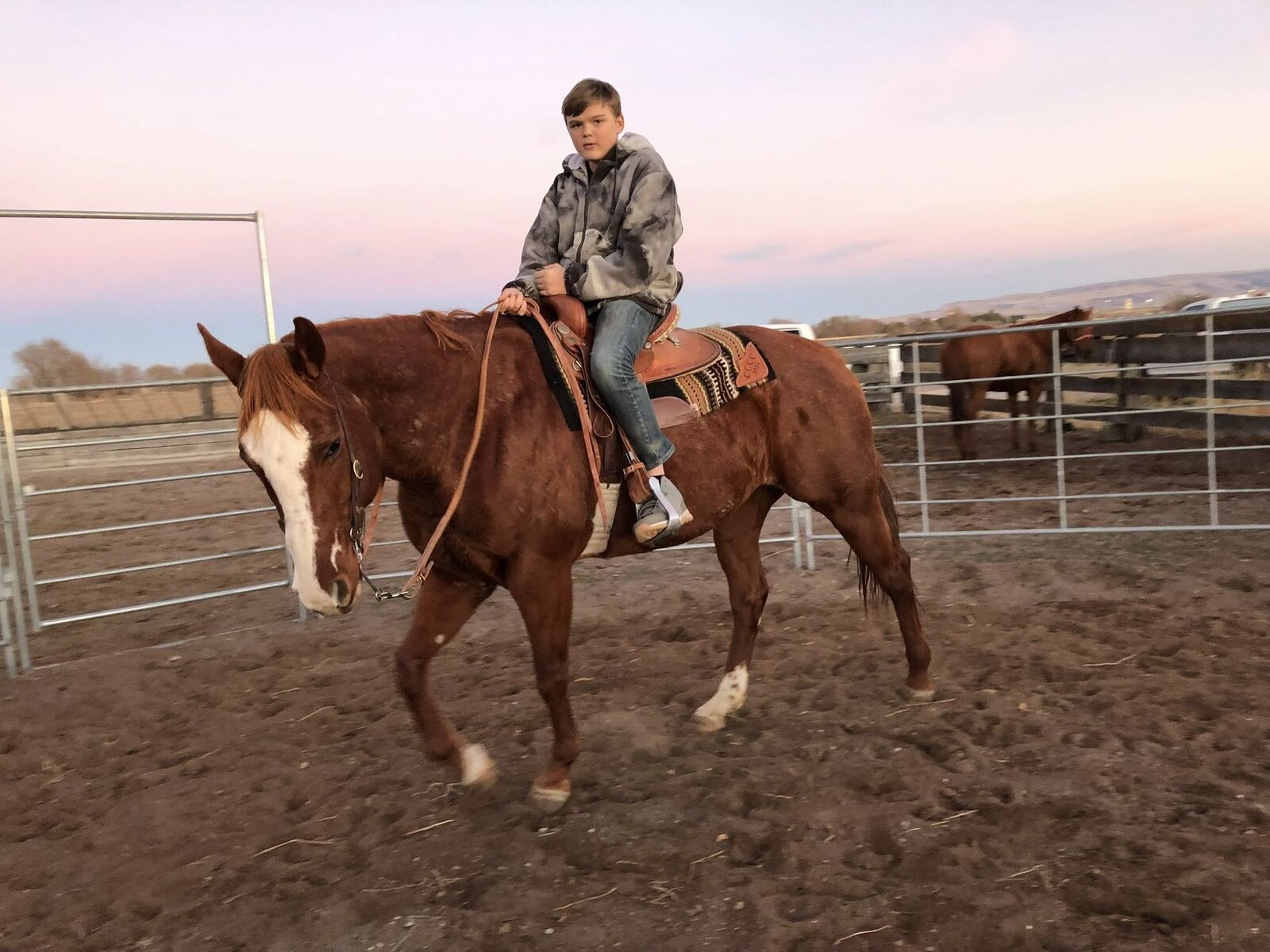 YOUTH BARREL & POLE DELUX****** | Horses | KSL Classifieds