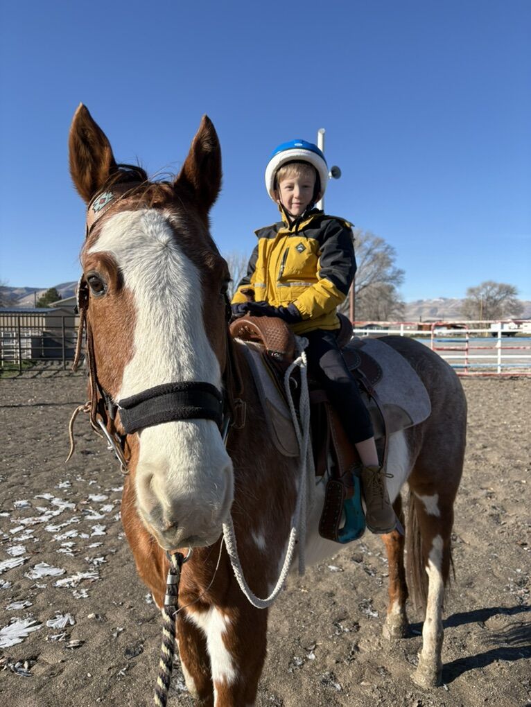 Two Horses For Lease | Horses | KSL Classifieds