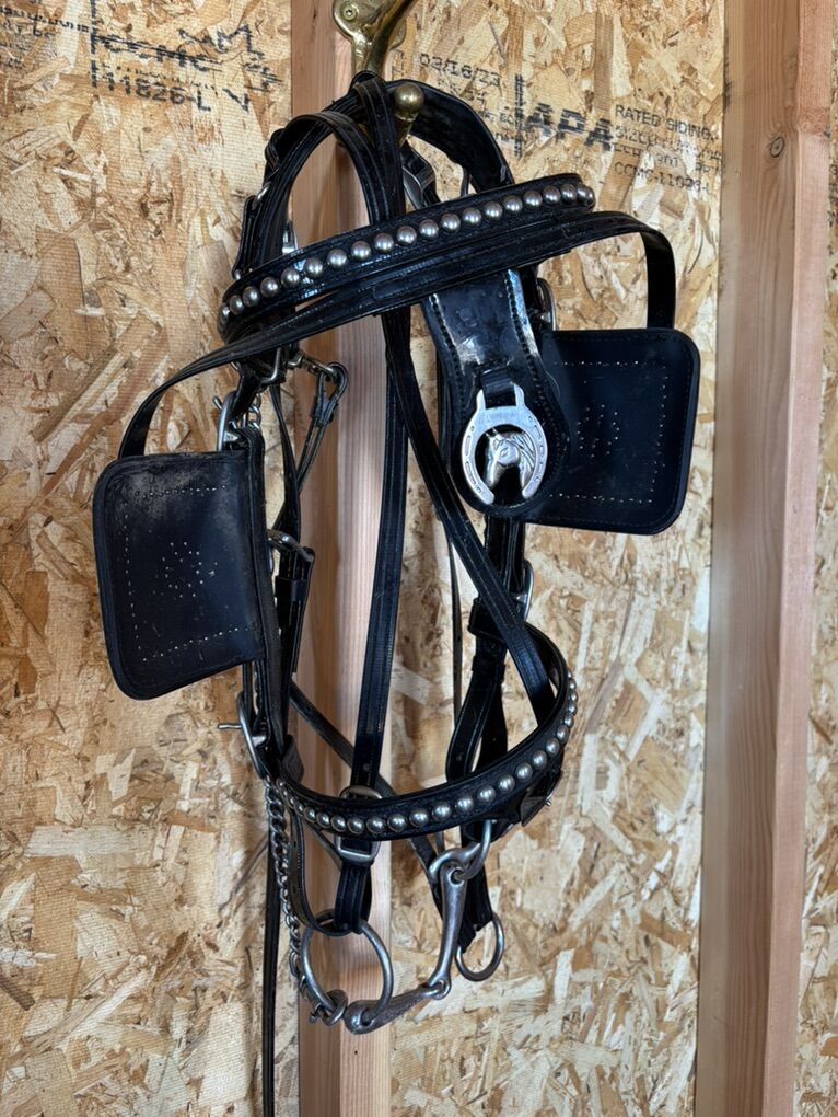 Team Harness Set | Horses, Saddles and Tack | KSL Classifieds