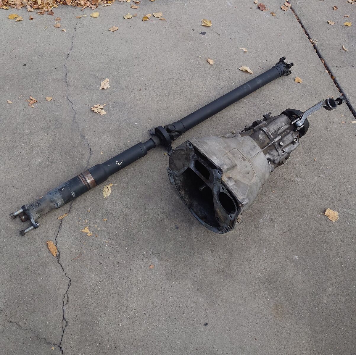 BMW ZF 5-Speed Manual Transmission Driveshaft | Powertrain ...