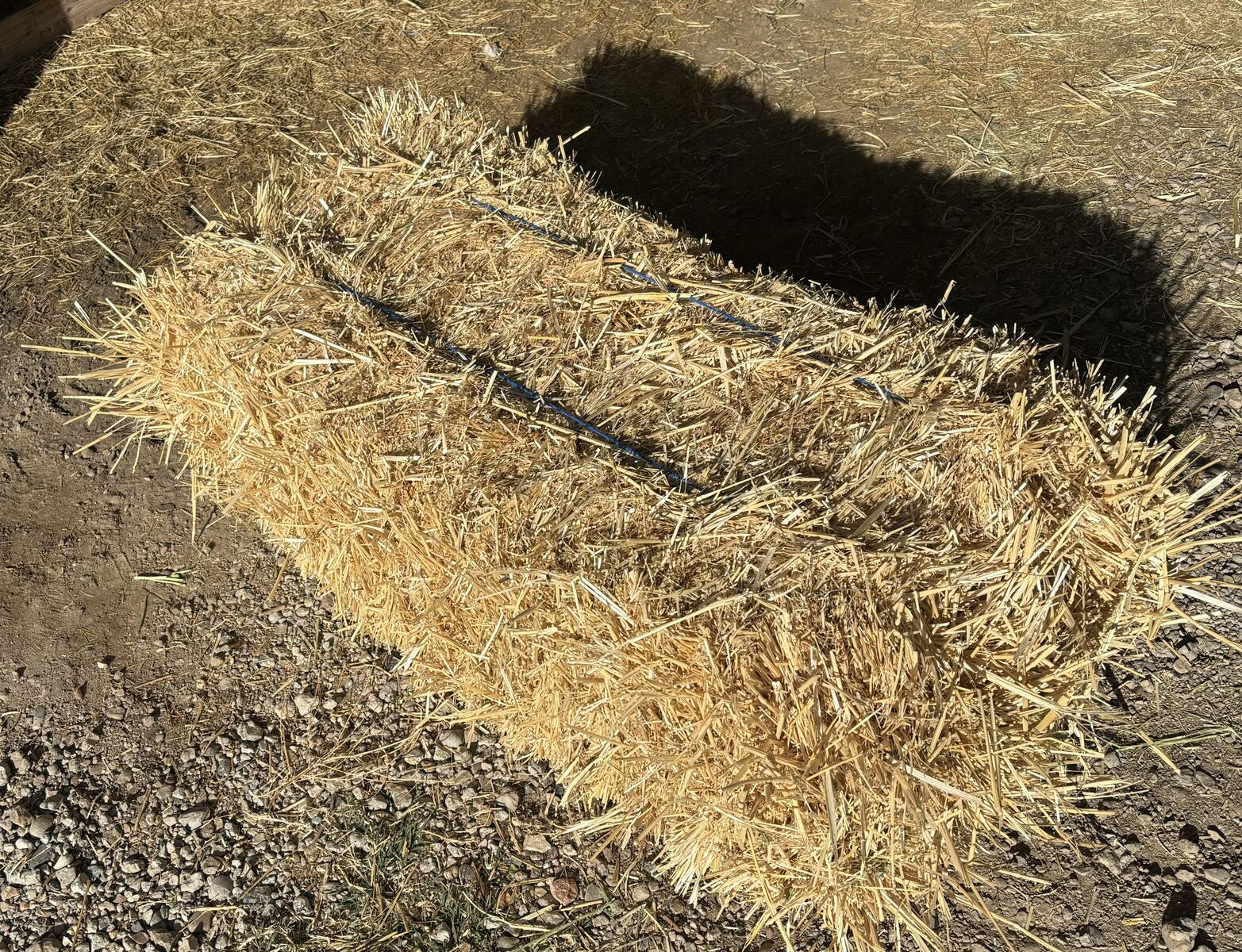 Wheat straw | Horses/Livestock, Hay and Bedding | KSL Classifieds