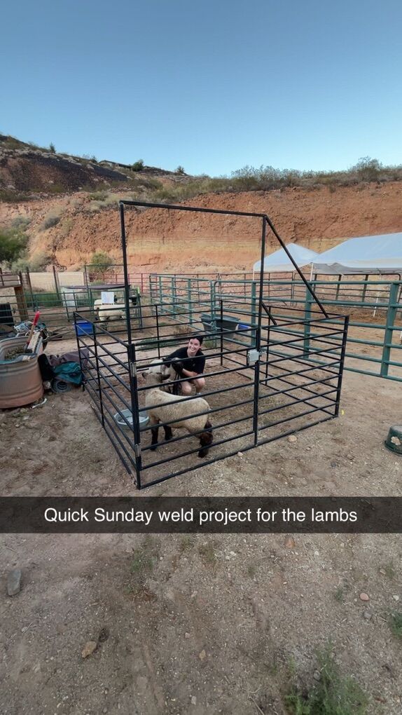 Small Animal Pen | Livestock Equipment and Supply | KSL Classifieds