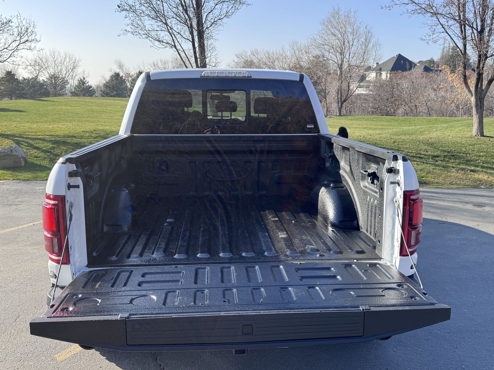 2020 Ford F-150 Raptor in Farmington, UT | KSL Cars